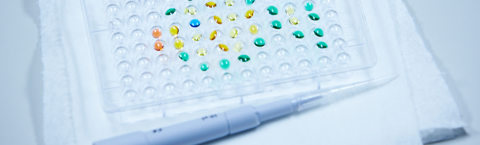 IMSA Fusion Program | Illinois Mathematics and Science Academy